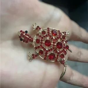 Mint | Jewelry | Red And Gold Turtle Brooch | Poshmark
